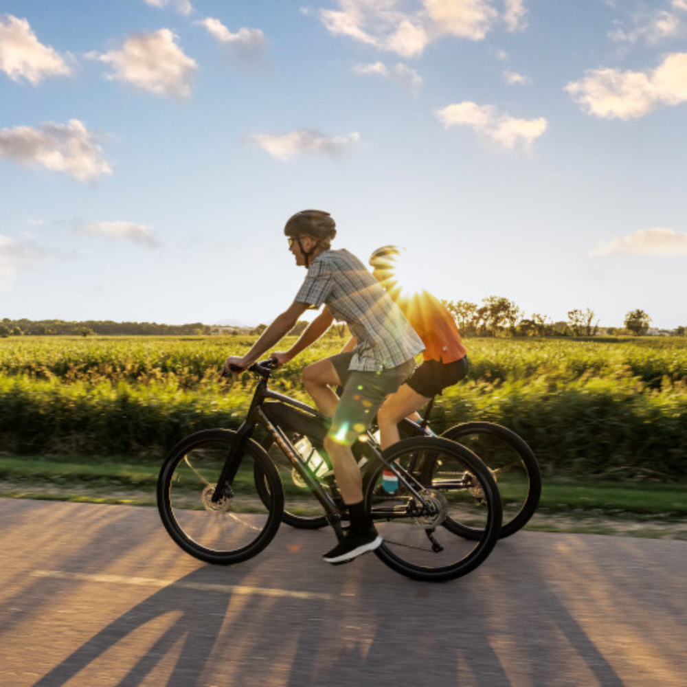 Trek Bikes – allterraincycles